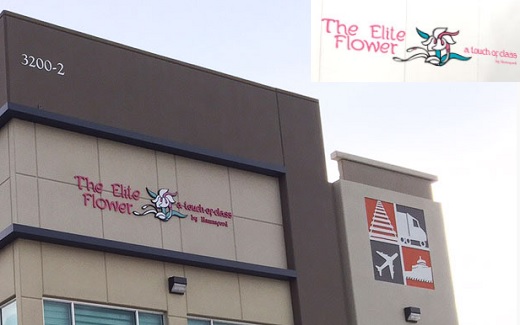 Tras acuerdo con sueco Opti Cept Technologies, The Elite Flower prevé ...