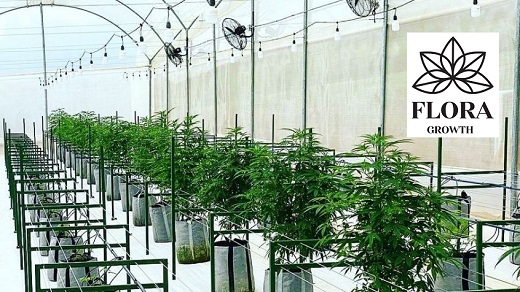 Flora Growth construyó laboratorio especializado - Halcones y Palomas