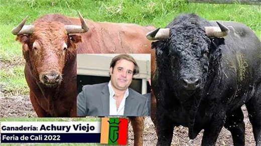 Condena a 74 meses de prisión por captación pirata - Felipe Rocha ...