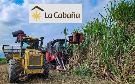 El Ingenio La Cabaña tiró la toalla y tras 82 años no va más - Halcones ...